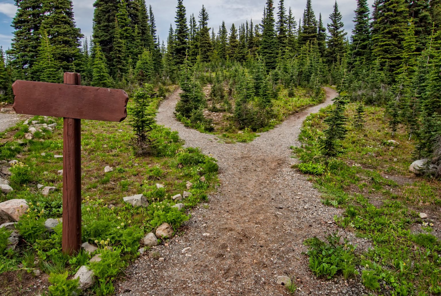 Path Fast Forward